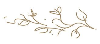 STUDIO – Blue Lantern Studios